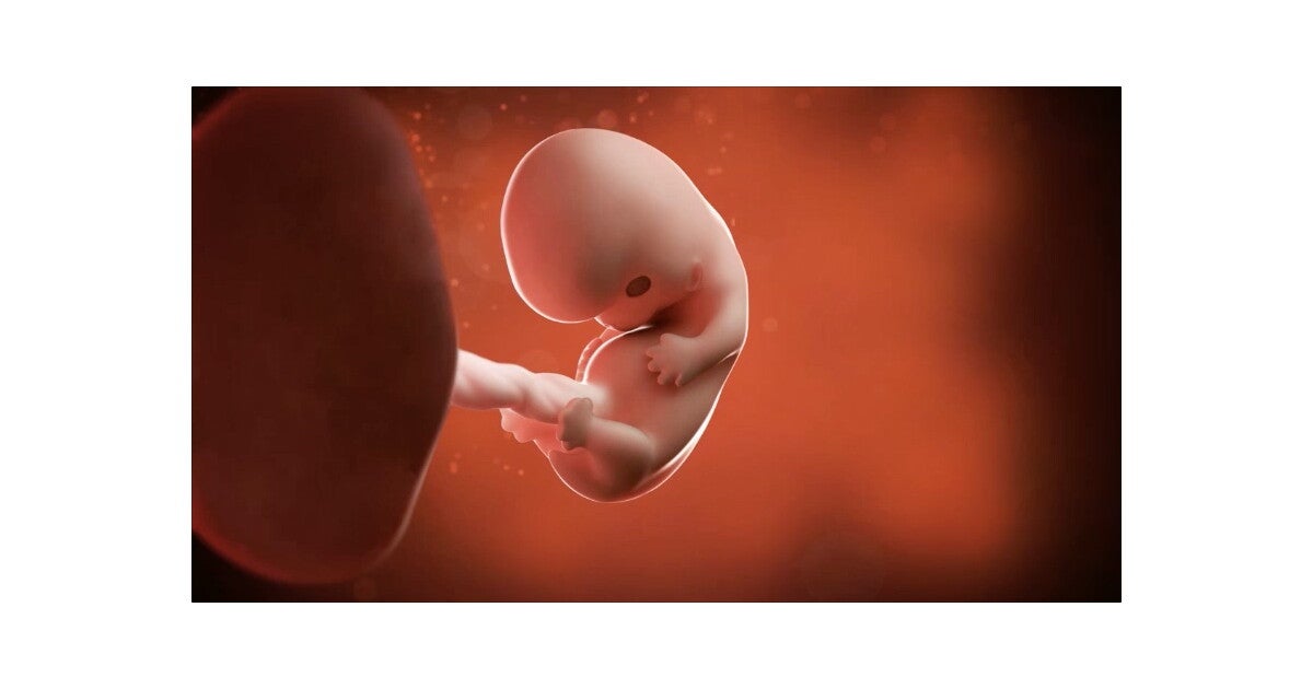 8 semanas de embarazo: Qué sucede | Nestlé® Materna
