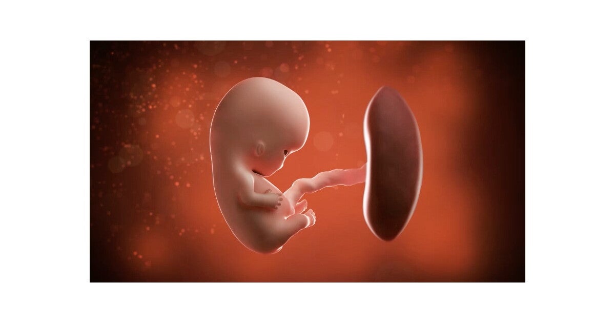 9 semanas de embarazo: Qué sucede | Nestlé® Materna
