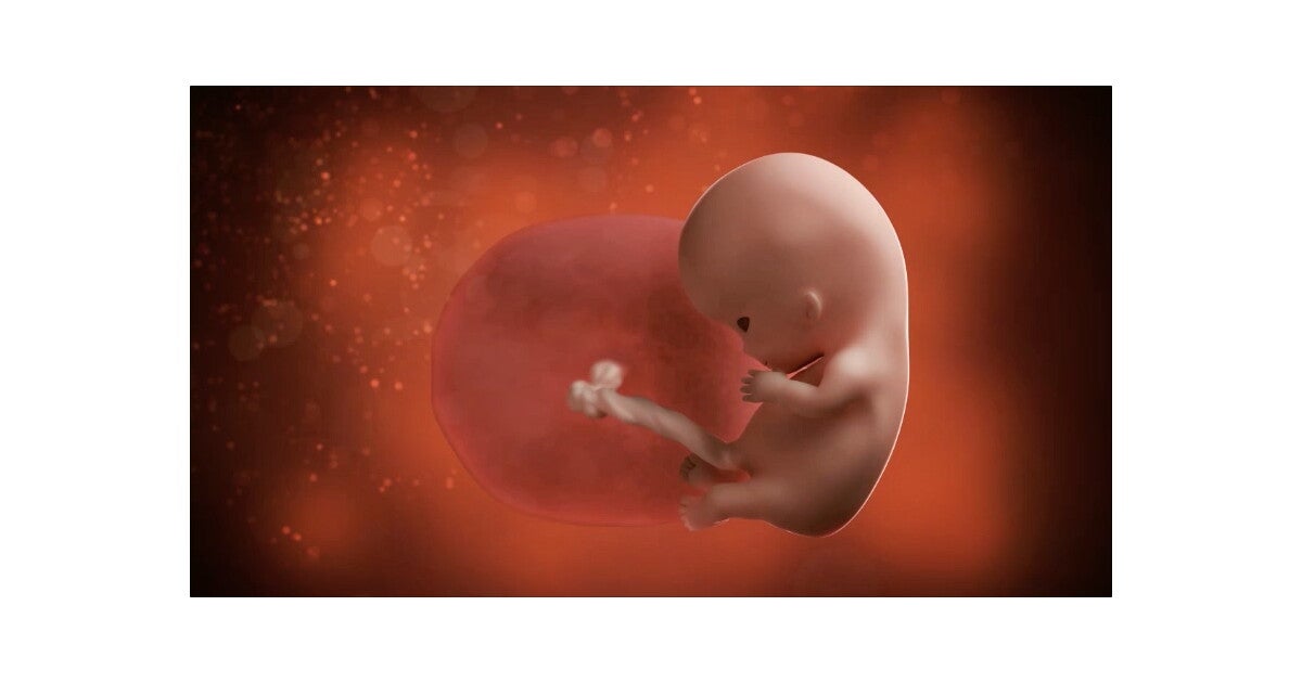 10 semanas de embarazo | Nestlé® Materna