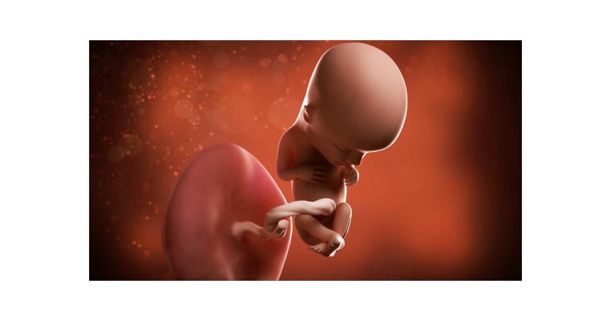 13 semanas de embarazo | Nestlé® Materna