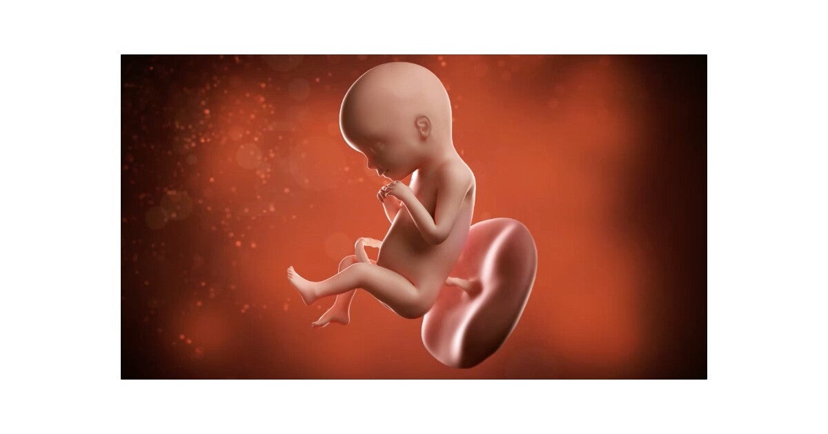 Qué pasa a las 20 semanas de embarazo | Nestlé® Materna